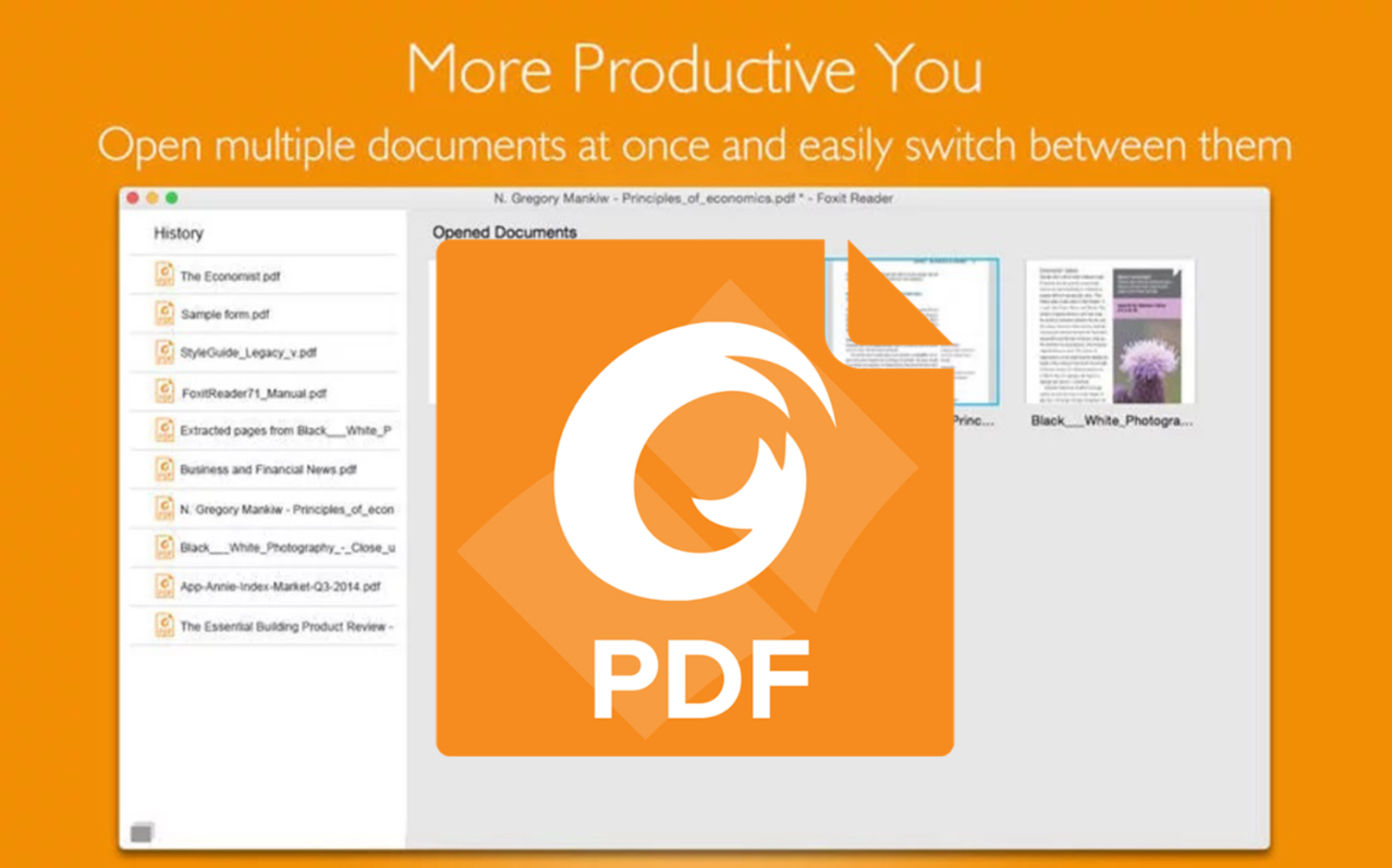Don't Miss Top 5 'Divine' PDF Reading Software for Office Workers